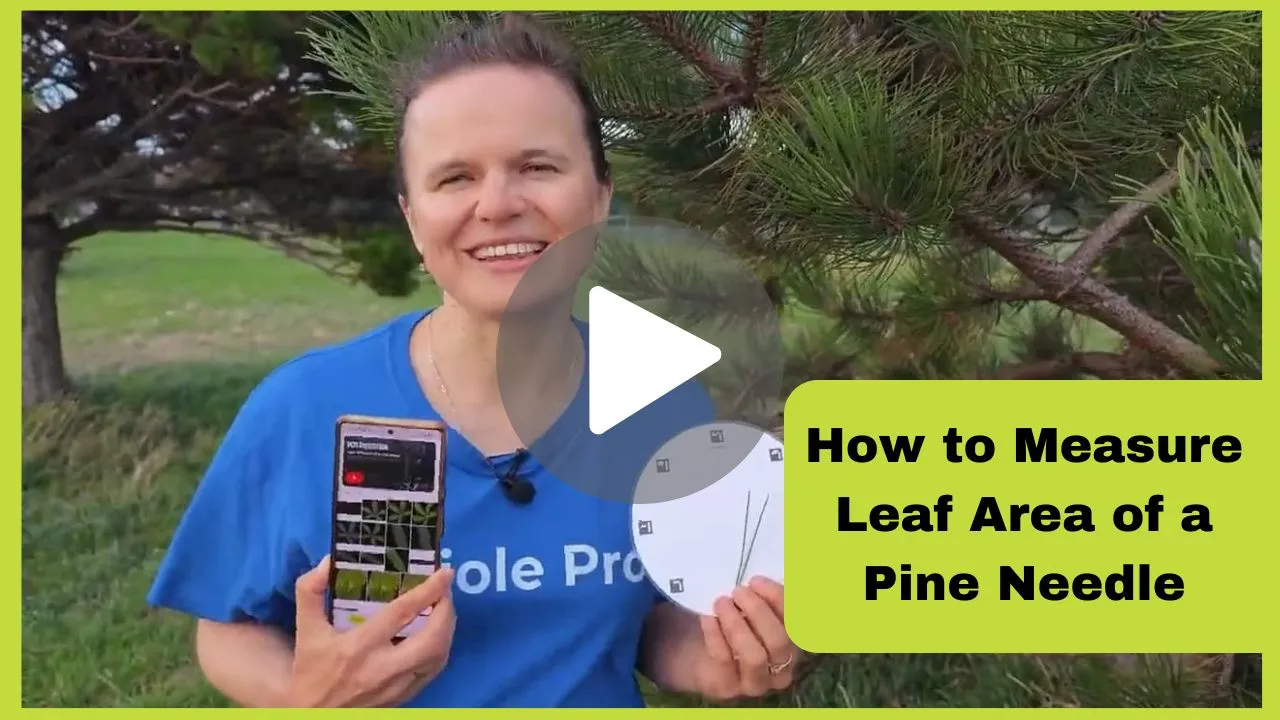4 Proven Methods of How to Measure Leaf Area
